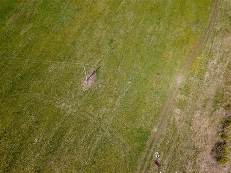 Premium Photo Aerial View Of The Field With Green Grass And Yellow