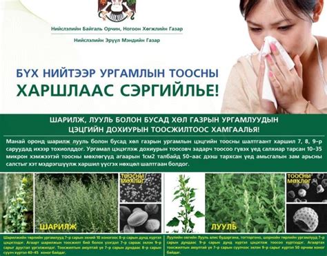 Ургамлын тоосны харшлаас урьдчилан сэргийлье