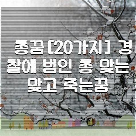 총꿈[20가지] 경찰에 범인 총 맞는 맞고 죽는꿈