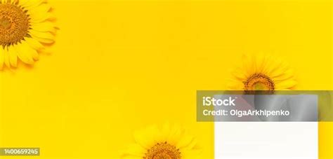 노란색 배경에 아름다운 신선한 해바라기와 흰색 선물 종이 봉지 플랫 레이 상단보기 복사 공간 가을 또는 여름 개념 수확 시간 농업 해바라기 자연 배경 꽃 카드 가방에 대한