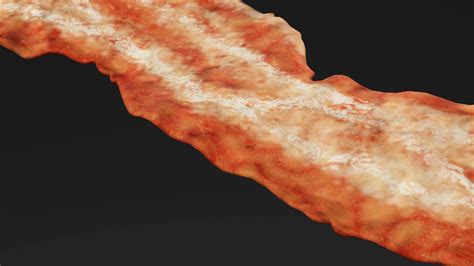 Slice Of Bacon 3d Model By Thedazking