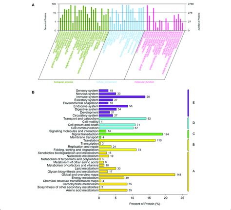 Functional Classification Of All Annotated Proteins In Chicken