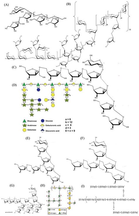 Molecules Special Issue Research And Application Of Plant Sourced Polysaccharides—2nd Edition