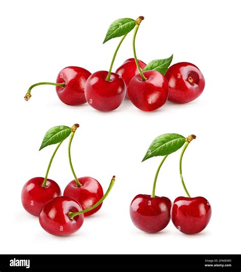 Cherry Leaf Cut Out Stock Images And Pictures Alamy