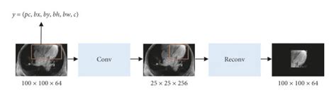 Right Ventricle Segmentation Process Based On Cnn Algorithm Download Scientific Diagram