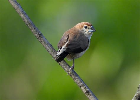 Biodiversity Theme Photos Download The Best Free Biodiversity Theme