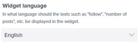 Instagram Plugin Speaks Your Language LightWidget