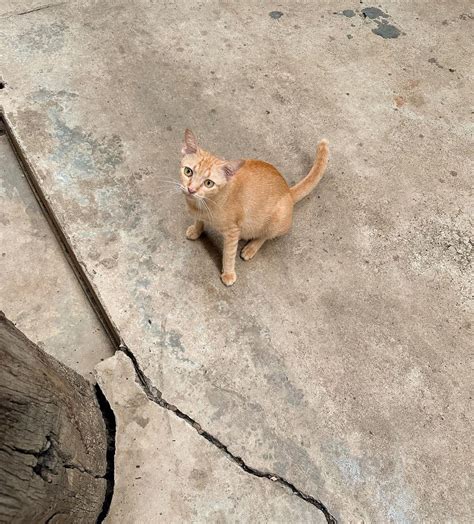 Ig วอร์ วนรัตน์ รัศมีรัตน์ บ้านน้องอยู่ฝั่งทางโน้น บ้านพี่อยู่ฝั่ง
