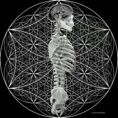 Sacred Geometry Human Body