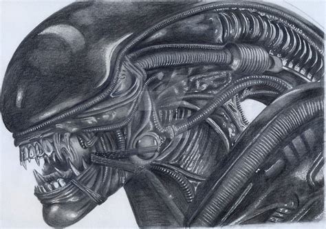 Xenomorph Drawing At Getdrawings Free Download
