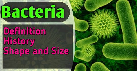 Bacteria Introduction History Reproduction Cell Structure Shape Size