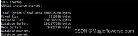 Oracle错误码ora 12516解决方案 Csdn博客