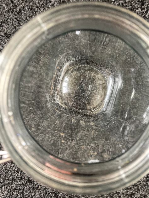 What Can I Breed With Flightless Fruit Flies Rantkeeping