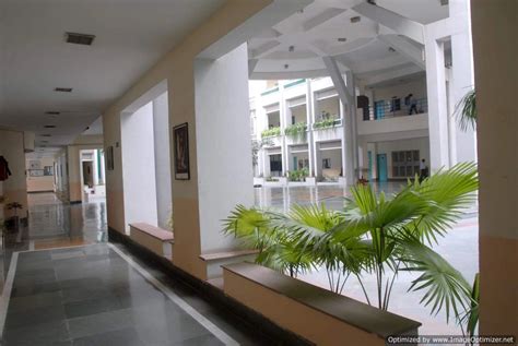 birla institute of management technology bimtech greater noida