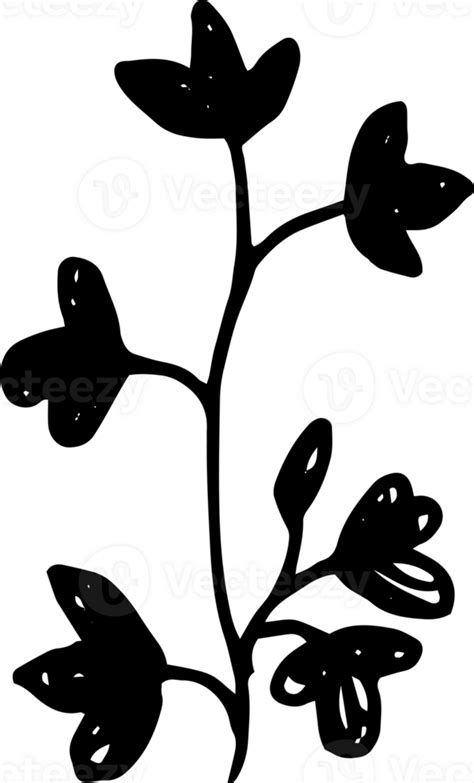 Hand Drawn Floral Leaf Line Art 27154861 Png