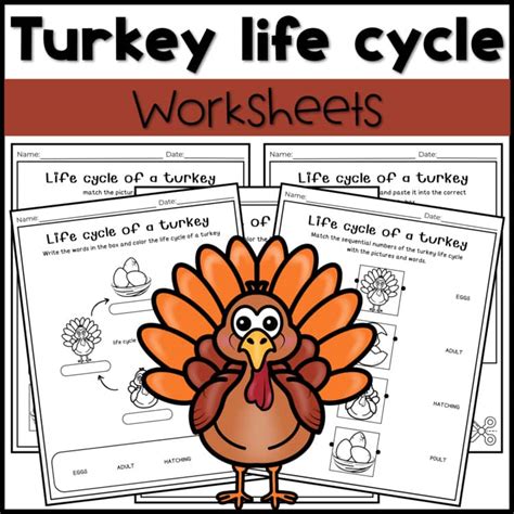 Thanksgiving Life Cycle Worksheets Bundle Fall Science Worksheets