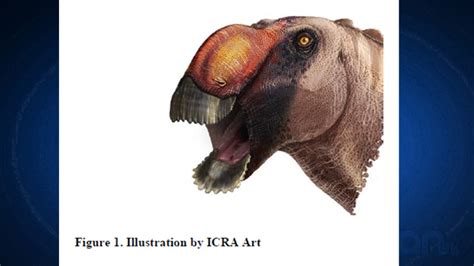 Fossils Found In Big Bend 35 Years Ago Now New Dinosaur Species Kxan
