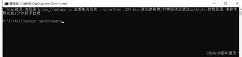 Natapp实现内网穿透（详解） Csdn博客