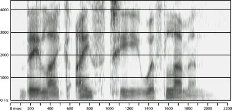 Spectrogram Segmenting Practice
