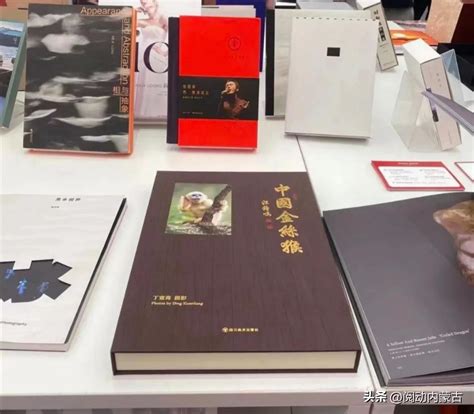 丁宽亮中国金丝猴亮相第二届嘉德国际艺术图书展