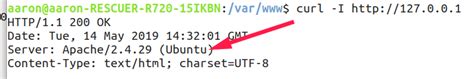 Linux 怎么查看判断web服务器安装的是apache还是nginx如何判断自己的服务器是a还是n Csdn博客