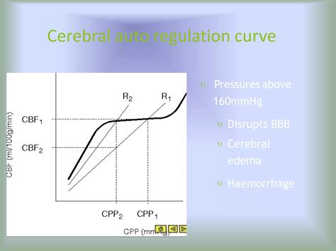Oxygen Requrement Cmr And Cerebral Circulation Ppt
