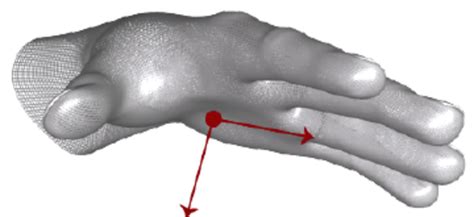 Unit Palm Normal Vector 40 Download Scientific Diagram