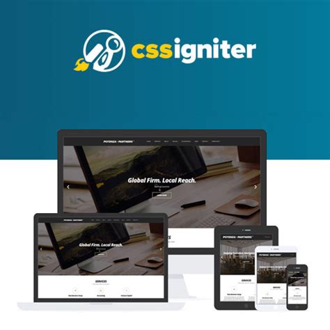 CSS Igniter Doberman WordPress Theme InfoMaxPro
