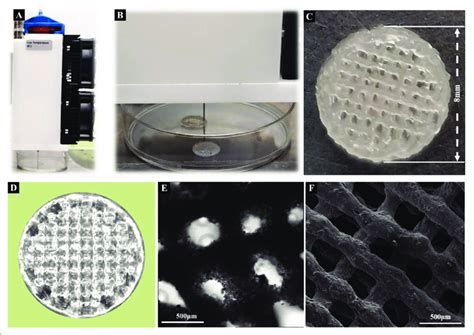 Fabrication Of 3d Printed Constructs A 3d Bioprinting Platform B