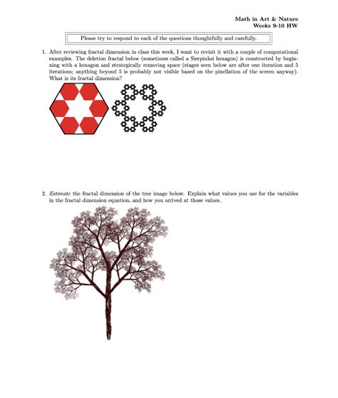 1 After Reviewing Fractal Dimension In Class This