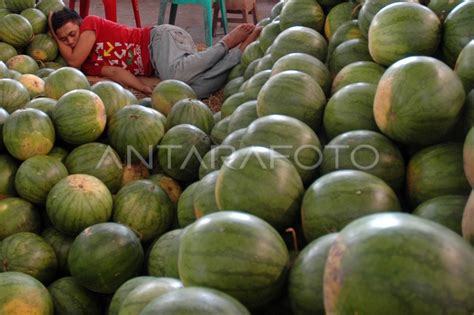 SEPI PEMBELI ANTARA Foto