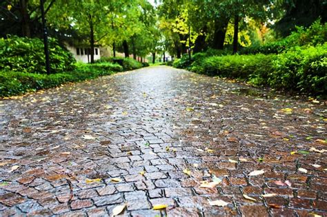 Premium Photo Wet Cobble Stone Path In Parco Dell Arena Padua