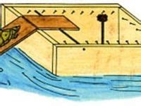 Best Turtle Traps Ideas Turtle Turtle Traps Turtle Habitat