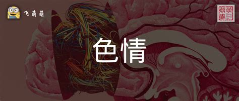 萌萌家合伙人飞哥分享：色情如何改变大脑 知乎