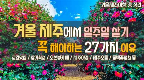 겨울 제주여행 총정리 제주에서 일주일을 살아봐야하는 이유 27가지 동백포레스트 스누피가든 제주맛집 제주야경명소 오션뷰카페 제주오름추천 제주카페 방주교회 귤체험 외