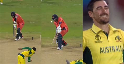 Watch Mitchell Starc Announces His Entry With A Thundering Hat Trick