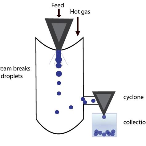 Pdf Encapsulation Of Probiotics Insights Into Academic And Industrial Approaches
