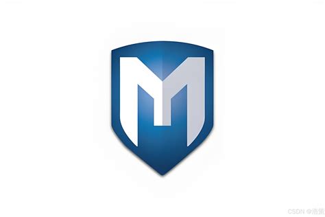 Metasploit Framework（msf）实战宝典：从入门到精通的渗透测试全流程与案例解析 Msf简这个黑客利器工具 Csdn博客