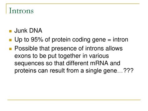 Gene Activity How Genes Work Ppt Download