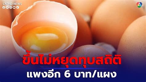 ข่าวพาเหรดกันขึ้นราคา ไข่ไก่ ไข่เป็ดปรับขึ้นราคาแพงสุดเป็นประวัติการณ์