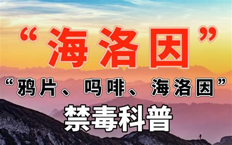 毒品【海洛因】：脑内化学原理【禁毒 脑科学 垂直科普 】林则徐（2） 底层原理 底层原理 哔哩哔哩视频