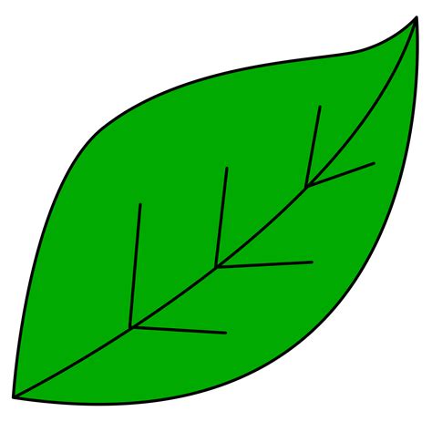 Desenho De Folha Verde 24134723 Png