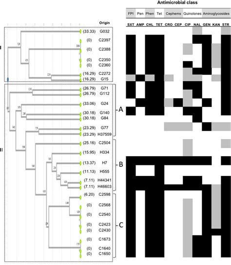 Upgma Clustering Analysis Typhimurium Upgma Clustering Analysis Of Download Scientific Diagram