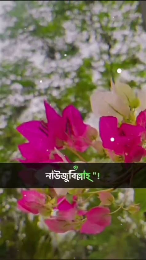 ১৪৮ Viralvideo Unfrezzmyaccount Celabration Musicgenre Video Love