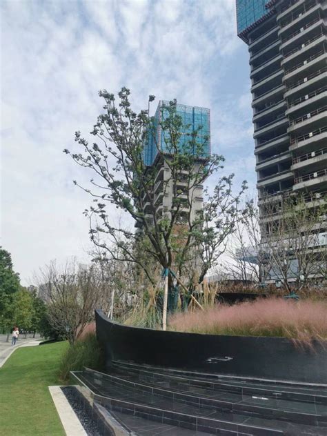 成都四川师大站tod锦江府实景图15 吉屋网