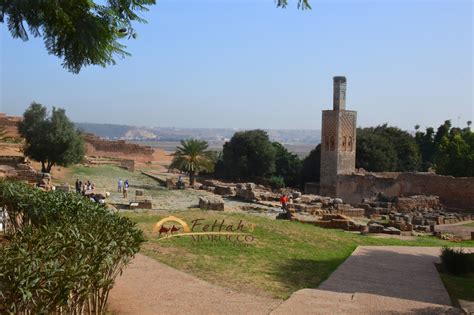 Morocco Guided Tours