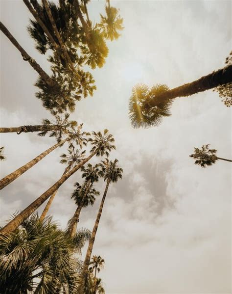 Premium Photo Los Angeles