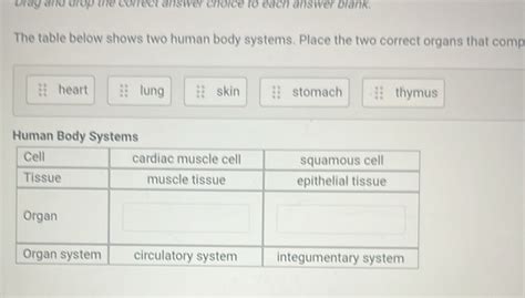 Solved Drag And Drop The Correct Answer Choice To Each Answer Blank The Table Below Shows Two