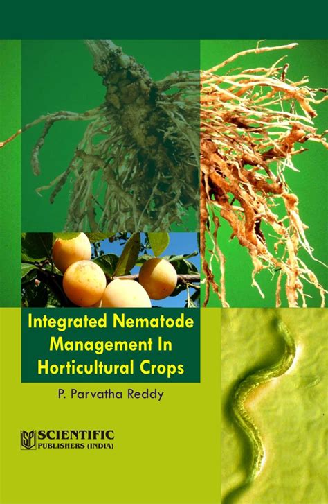 Integrated Nematode Management Horticultural Crops Reddy P Parvatha