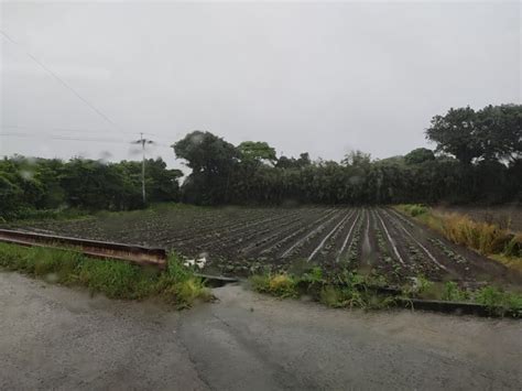 ありのままの日々 Unerisurf 種子島移住サーフィン波情報